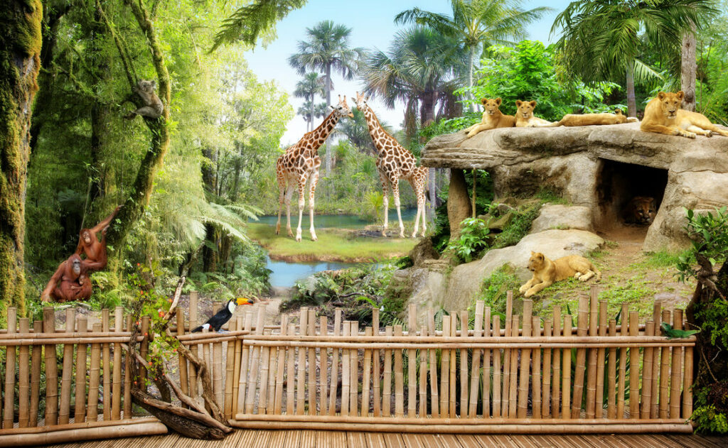 Top 10 des plus grands zoos de France - Zoo Academia
