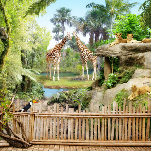 Top 10 des plus grands et beaux zoos au Monde - Zoo Academia