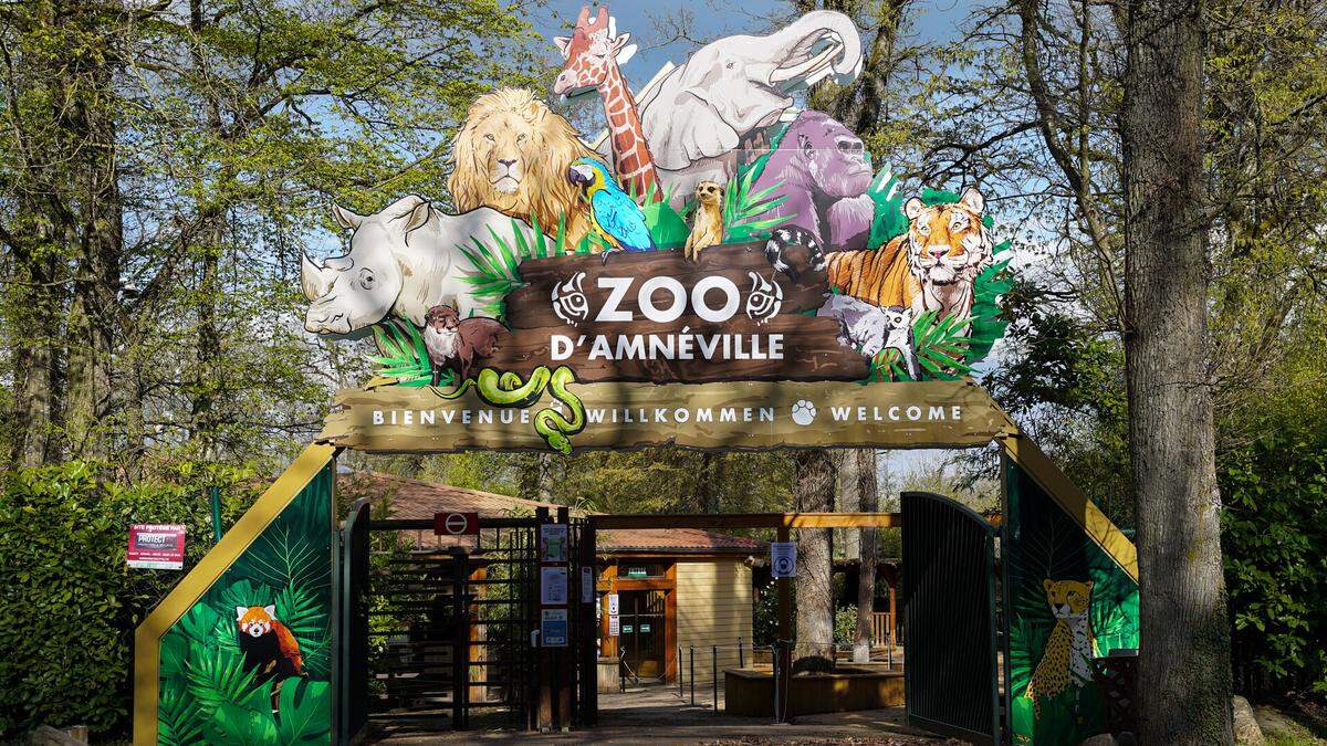 Top 10 des plus grands zoos de France - Zoo Academia